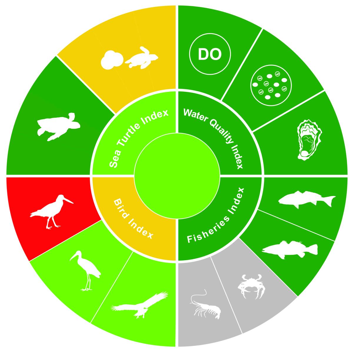 10th annual ecosystem report card shows moderate improvements in key areas